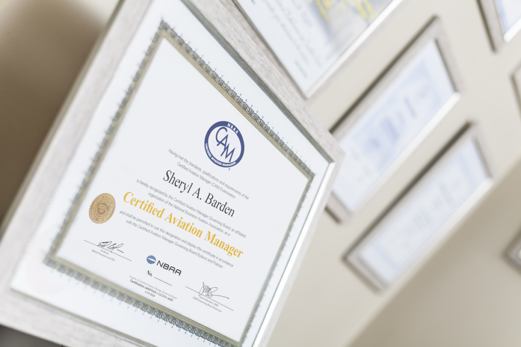 Six Months to CAM: I Did It and So Can You! by API's Sheryl Barden